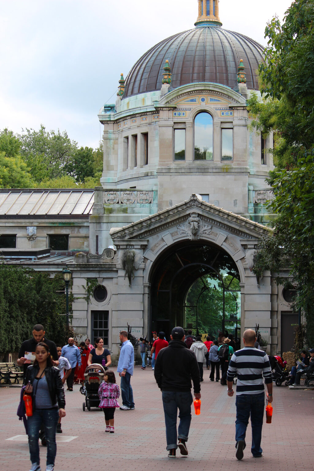 Zoo du Bronx : horaires, tarifs & attractions incontournables
