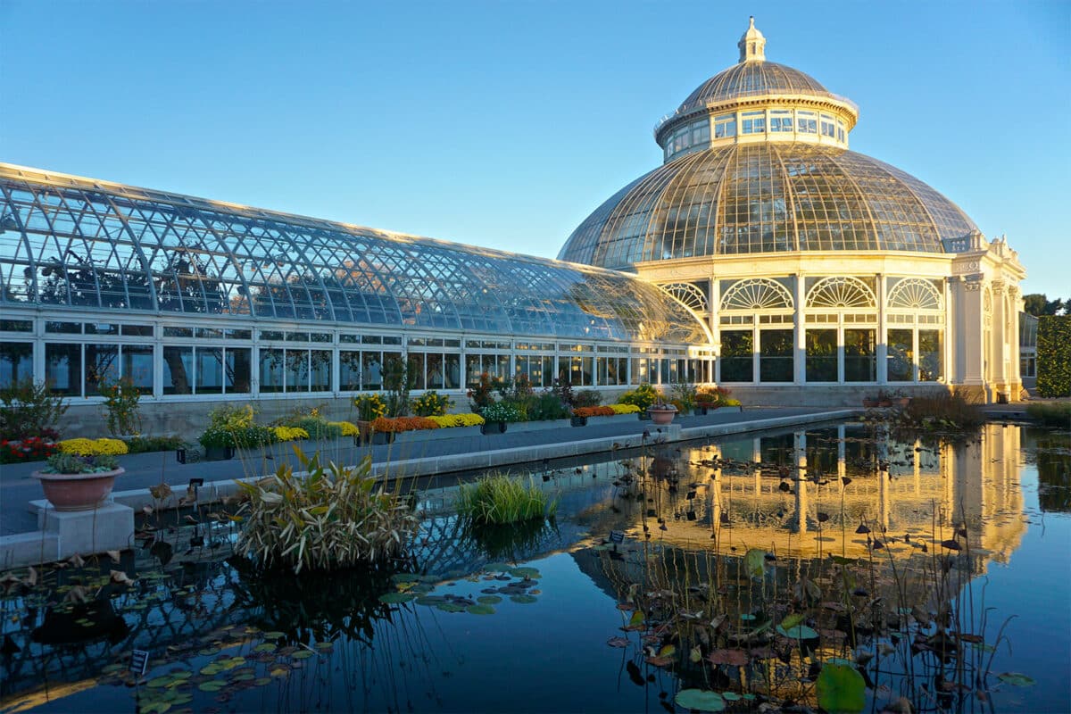 Zoo du Bronx : horaires, tarifs & attractions incontournables